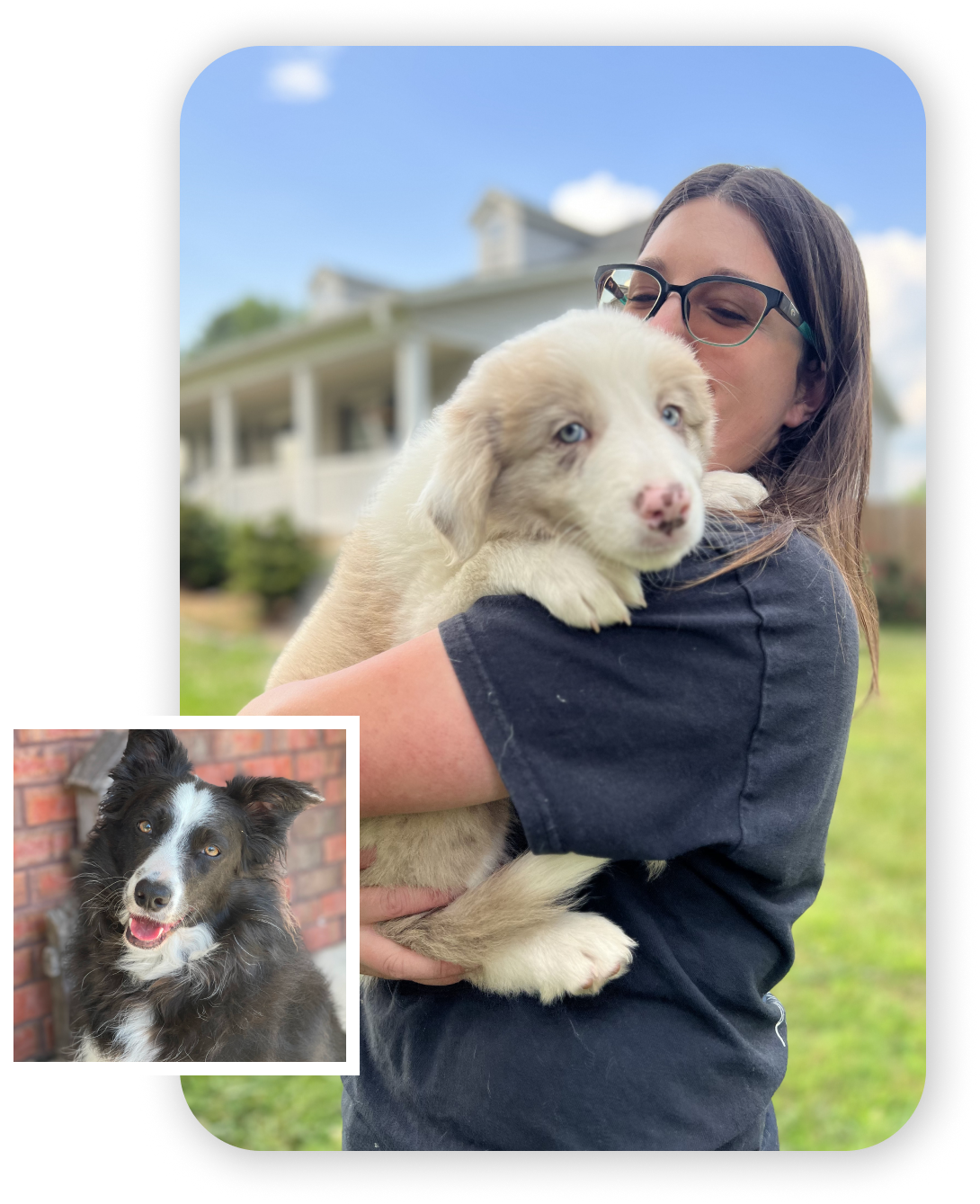 Inner Knowing Canine Connections - innerknowingcanineconnections.com